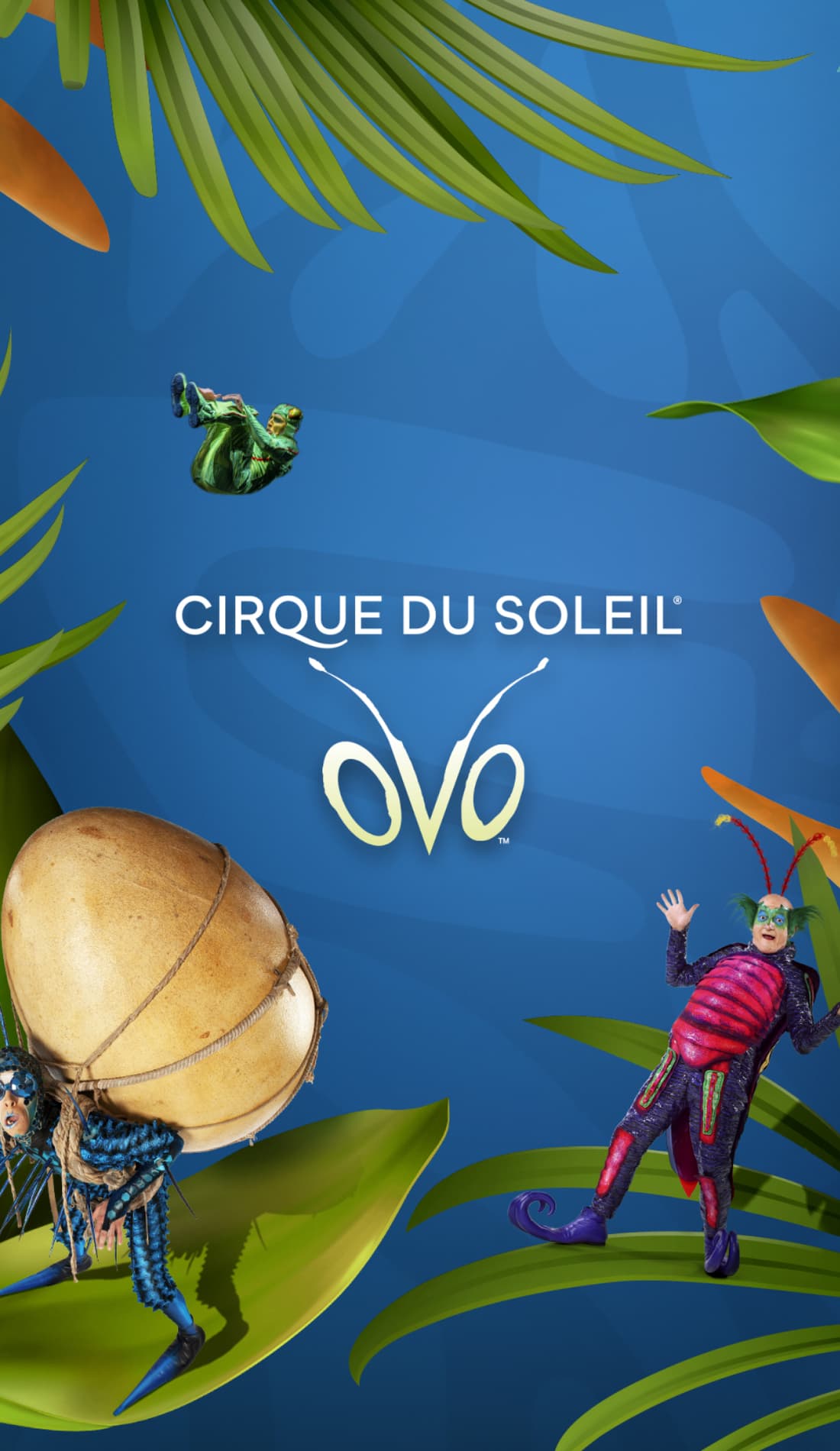 Cirque du Soleil: OVO Tickets, 2024 Showtimes & Locations | SeatGeek