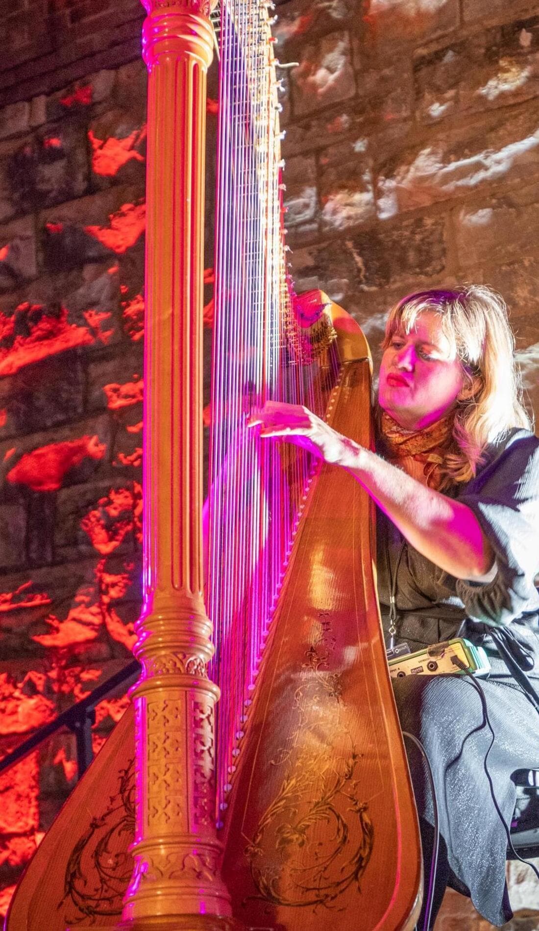 Mary Lattimore Tickets, 2024 Concert Tour Dates | SeatGeek