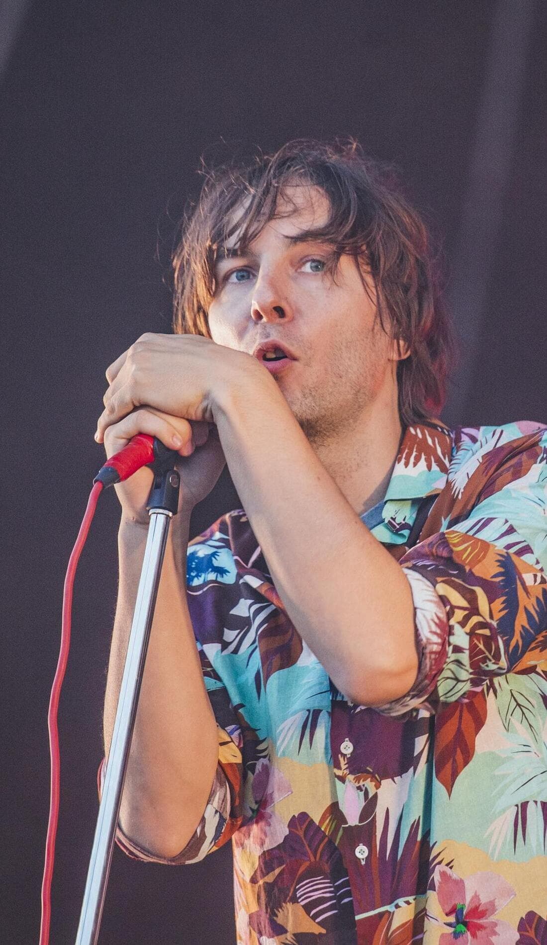 Phoenix - The Band Tickets, 2024 Concert Tour Dates | SeatGeek